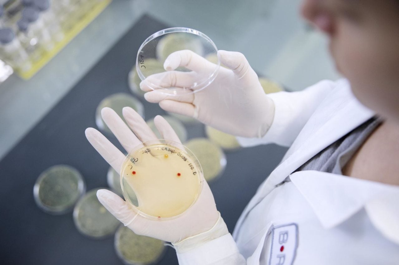 BRAIN Biotech AG – Zukunft schmeckt